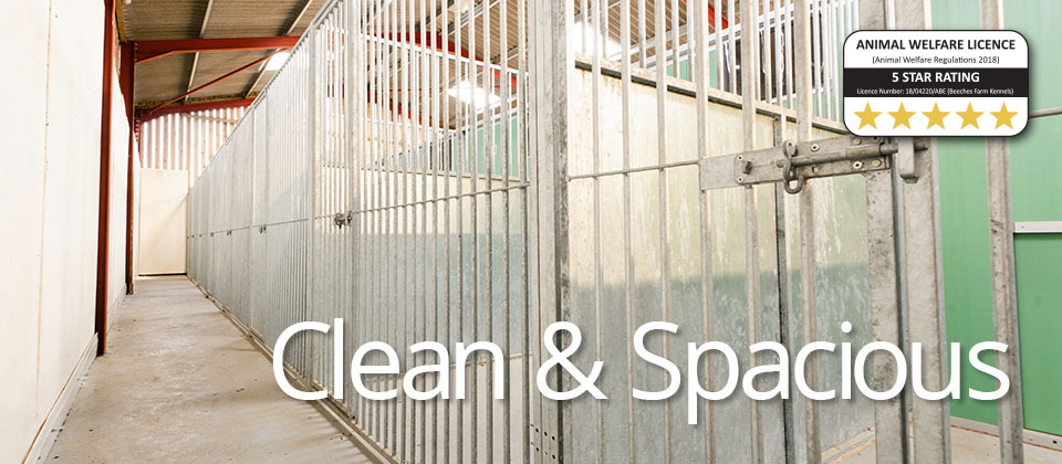 Dog Kennels | Doggy Day Care | Country Boarding Kennels